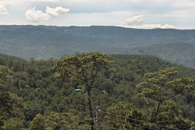 Da Lat Highland 3 days private tour from Ho Chi Minh City - Day 3: Wrapping Up with Natural Beauty and Return