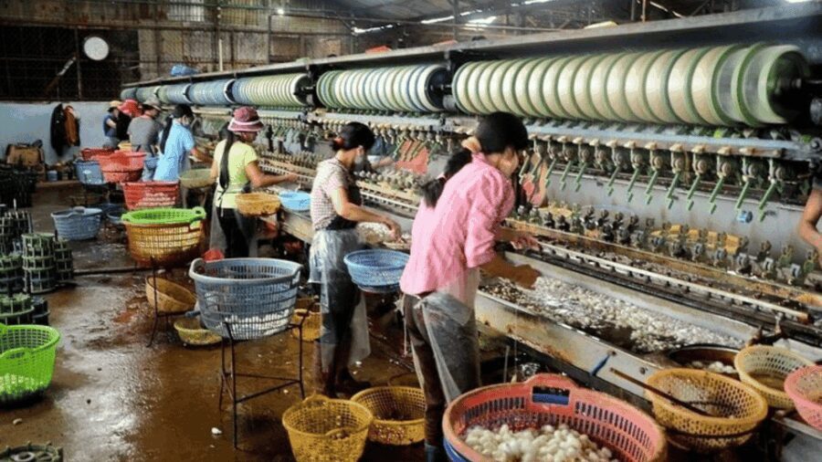 Da Lat's Most Beautiful Nature Discovery Tour (Private Car) - Practical Details and Value