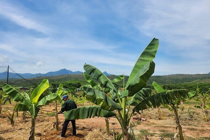 Da Nang ATV Quad Bike Adventure - Authentic Reviews & What Travelers Say