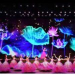 Da Nang Charming Show Viet Nam - Key Points