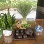 Da Nang: Experience 60 minutes Thai Traditional Massage - Detailed Breakdown of the Tour