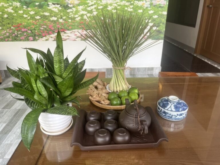 Da Nang: Experience 60 minutes Thai Traditional Massage - Detailed Breakdown of the Tour