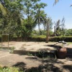 Da Nang: Full-day My Lai Massacre Memory Tour - The Practicality of Choosing This Tour