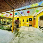 Da Nang: Hoi An Ancient Town and Coconut Forest Tour - Authenticity and Authentic Experiences