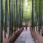 DAIBUTSU 3 Hours Private Walking Tour KAMAKURA - What’s Included and What’s Not