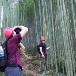 Daily Experience Authentic TaPhin Valley &Traditional Herbal bath - How the Tour Feels from the Traveler’s Perspective