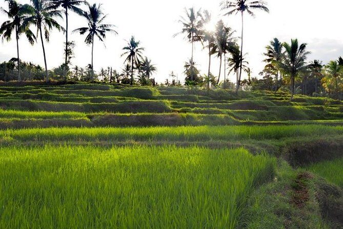 Daily Life Tour: Live Like A Local Farmer - An In-Depth Look at the Experience