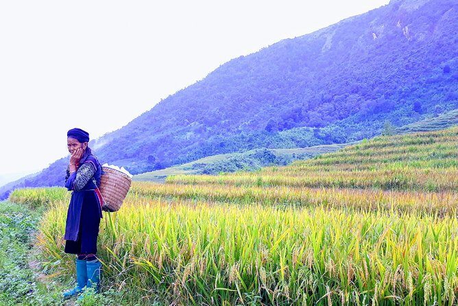 Daily Tour: Sapa Trekking in Muong Hoa valley, Bamboo forest - Practical Tips for a Smooth Trek