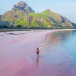 Daily Trip Highlight Komodo Archipelago by Speed Boat - Transport and Group Dynamics