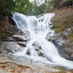 Dalat Countryside - Crazy house & Mario Kart - Flower Gardens & Highland Views