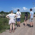 Dalat Countryside Tour $ Elephant falls - Who Should Consider This Tour?