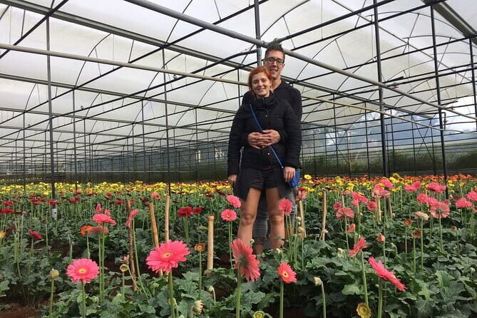 Dalat Discovery Elephant Falls , Pongour Falls & Countryside Tour - Why This Tour Works Well