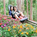 Dalat Private Tour Package in 2 Days - Authentic Experiences and Unique Sights