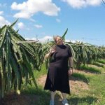 DaLat Small Group - 3 Waterfall (Datanla ,Elephant and Pongour) - Authentic Experiences and What Past Travelers Say