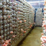 Dalat to Cat Tien National Park & Ho Chi Minh (2 or 3 Days) - What Makes This Tour Special?