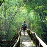 Dalat to Cat Tien National Park & Saigon (3 Days) - Transportation & Accommodation: Comfort in the Wilderness