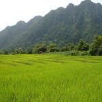 DALAT to MUI NE By Private VIP Car/ VIPMotorcycle - Deep Dive into the Itinerary: Why It Matters