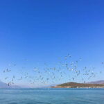 Dali: Chongsheng Temple, Xizhou, & Erhai Lake Tour - Exploring Xizhou Ancient Town