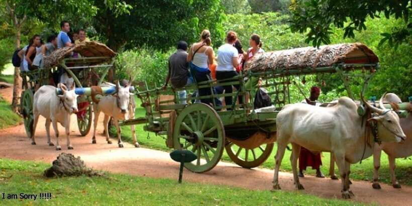 Dambulla: Caves Temple & Traditional Village Tour with Lunch - What the Reviews Tell Us