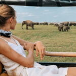 Dambulla to Trincomalee Shuttle & Safari Drive - Who Will Appreciate This Tour?