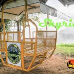 Danao Bohol Adventure Tour (Sea of Clouds, The Plunge and Sagbayan Peak) - Who Will Love This Tour?