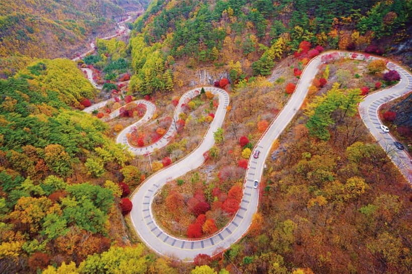 Danyang Tour: Guinsa Temple & Bobaljae & Mancheonha Skywalk - Who Will Love This Tour?