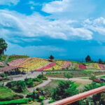 Davao Eden Nature park with shuttle & Buffet Lunch - Dining with a View