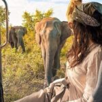 Day Excursions to Minneriya National Park Safari From Negombo - Practical Details and What to Expect