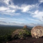 Day Excursions to PIDURAGALA ROCK from Colombo With Lunch - Lunch: Authentic Sri Lankan Flavors