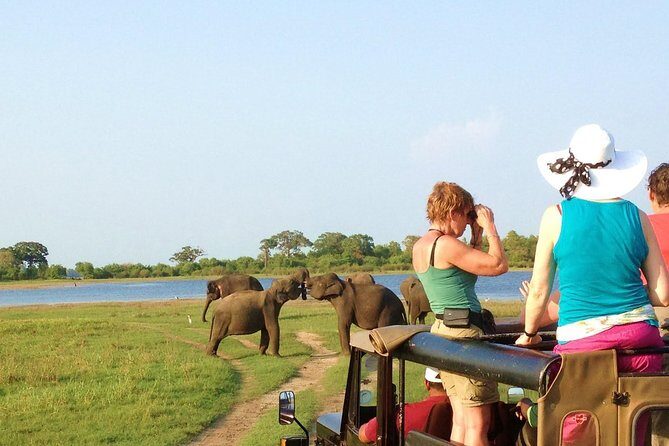 Day Excursions to Wasgamuwa National Park From Negombo - Who Should Consider This Tour?