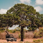 Day Excursions to Wilpattu National Park from Negombo - Is this tour worth your money?