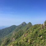 Day Guided Tour in Langkawi Island - Why This Tour Is Worth Considering