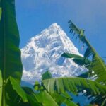 Day Hike to Kalika from Pokhara Nepal - A Detailed Look at the Day Hike Experience