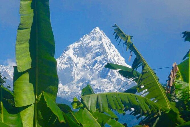Day Hike to Kalika from Pokhara Nepal - A Detailed Look at the Day Hike Experience