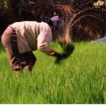 Day in a Life Authentic Village Experience in Siem Reap - The Experience’s Benefits and Challenges