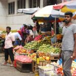 Day out to Galle[Stilt Fishing. Turtle watching.Cinnamon Farm] - What Travelers Are Saying