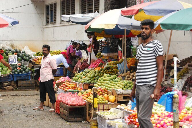 Day out to Galle[Stilt Fishing. Turtle watching.Cinnamon Farm] - What Travelers Are Saying