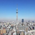 Day Private City Tour of Tokyo with English speaking driver - Insights from Reviewers