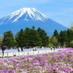 Day Tour at Mt. Fuji, Kawaguchi Lake and Oshino Hakkai in Tokyo - Authentic Experiences and Cultural Insights