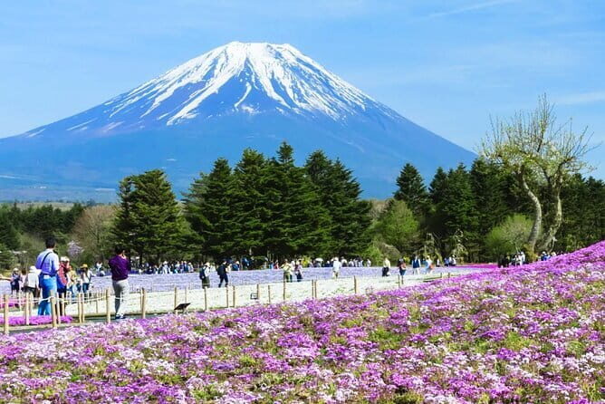 Day Tour at Mt. Fuji, Kawaguchi Lake and Oshino Hakkai in Tokyo - Authentic Experiences and Cultural Insights