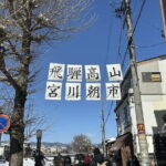 Day Tour from Nagoya in Gujo Hachiman Takayama and Shirakawago - Transportation and Practicalities