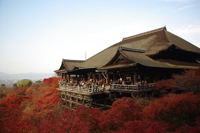 Day Tour from Osaka to Kyoto Let's enjoy Kyoto's food and Scenery - FAQs
