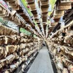 Day Tour from Tokyo : Experience Kawagoe and Edo Japan - Practicalities and Value