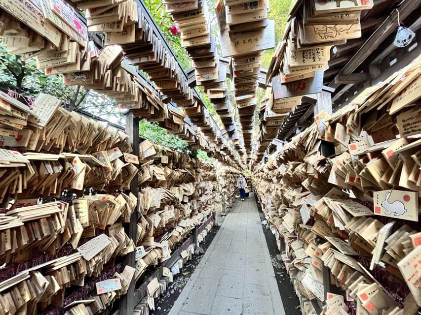 Day Tour from Tokyo : Experience Kawagoe and Edo Japan - Practicalities and Value