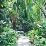 Day tour kandy to sigiriya and return kandy - FAQ about the Kandy to Sigiriya Day Tour