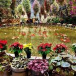 Day tour Nagashima Mitsu Outlet & Nabana no Sato from Nagoya - Practical Tips for the Tour