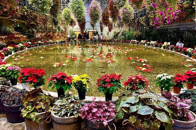 Day tour Nagashima Mitsu Outlet & Nabana no Sato from Nagoya - Practical Tips for the Tour