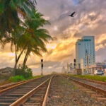 Day Tour of Colombo City - Colombo Fort Market