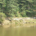 Day Tour of Dharamshala, home to the Dalai Lama - Final Thoughts