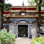 Day Tour of Dharamshala, home to the Dalai Lama with Lunch - Real-Life Insights from Reviews